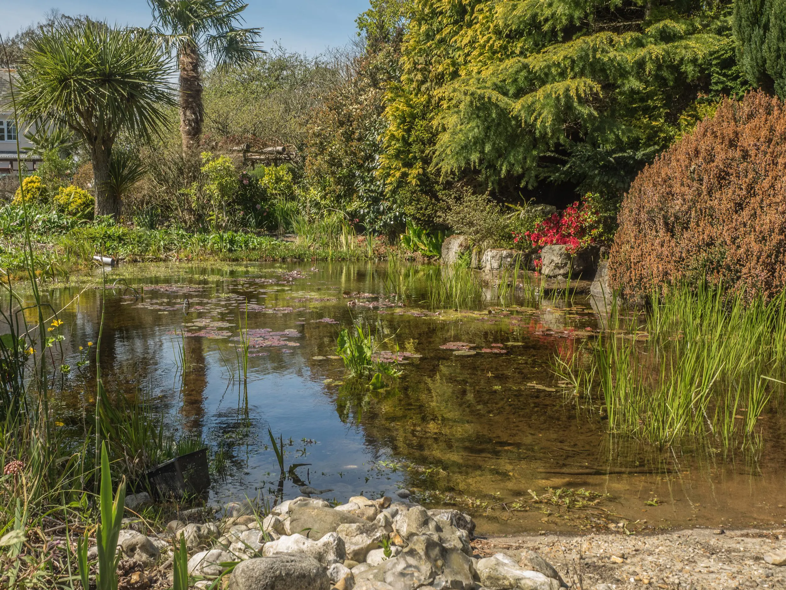 The National Garden Scheme: Beautiful Garden Open At Cookscroft Earnley ...