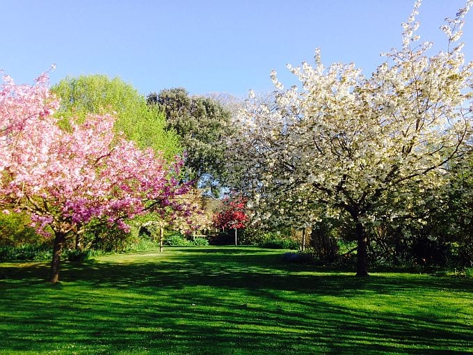 Fifty Years Of Dedication At Highdown Gardens Celebration | Sussex Local