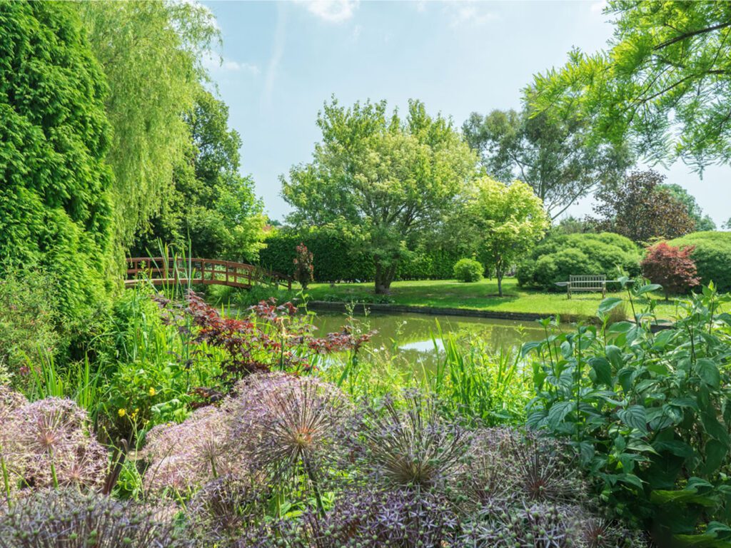 Garden In Shipley Open For The National Garden Scheme | Sussex Local