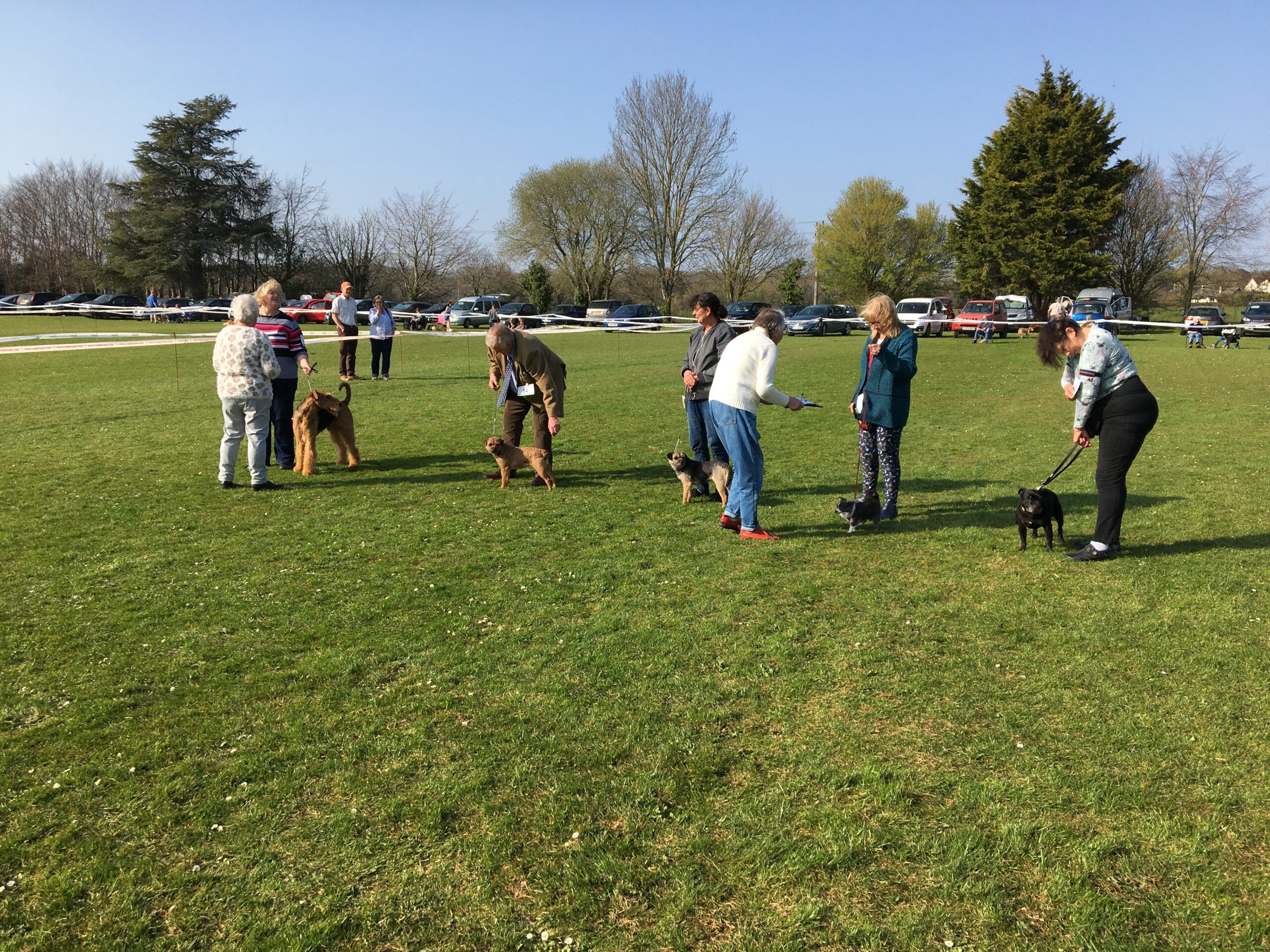 Boxgrove Companion Dog Show With Obedience Sussex Local Boxgrove Companion Dog Show With Obedience Sussex Local