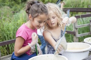 Discovery Day – Pond Dipping & Bug Hunting At RSPB Pagham Harbour ...