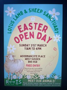 Easter Fayre Lotus Lamb And Sheep Sanctuary | Sussex Local