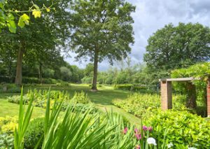 National Garden Scheme: Open Garden - Bumble Farm, Loxwood | Sussex Local