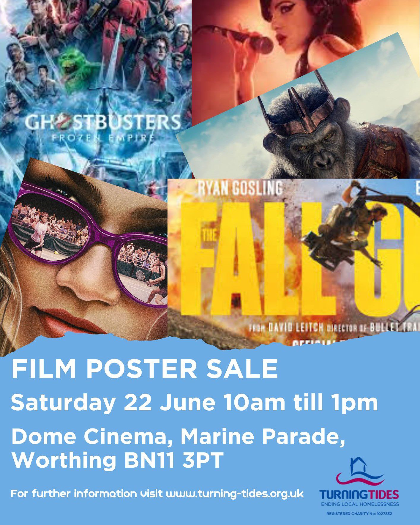 Dome Poster Sale | Sussex Local
