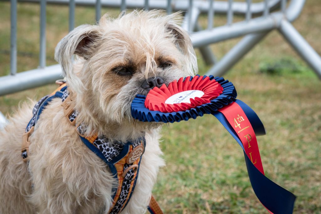 We Love Dogs National Indoor Dog Show | Sussex Local