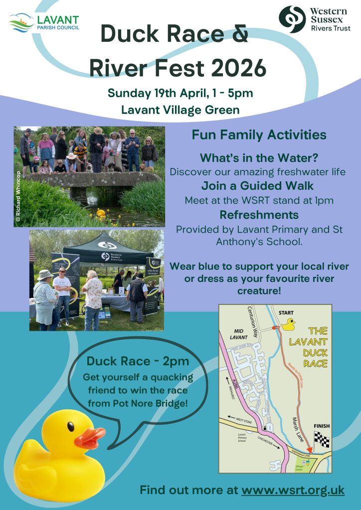 Duck Race And River Fest 2026 | Sussex Local